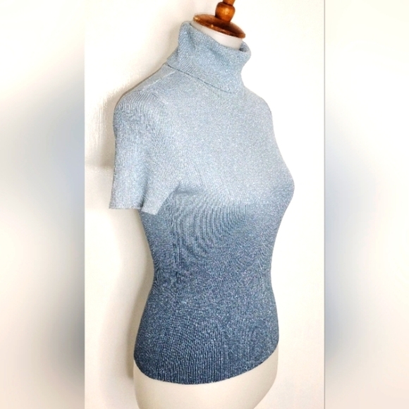 Nygard Collection | Tops | Silk Blend Sparkly Ombre Turtle Neck | Poshmark